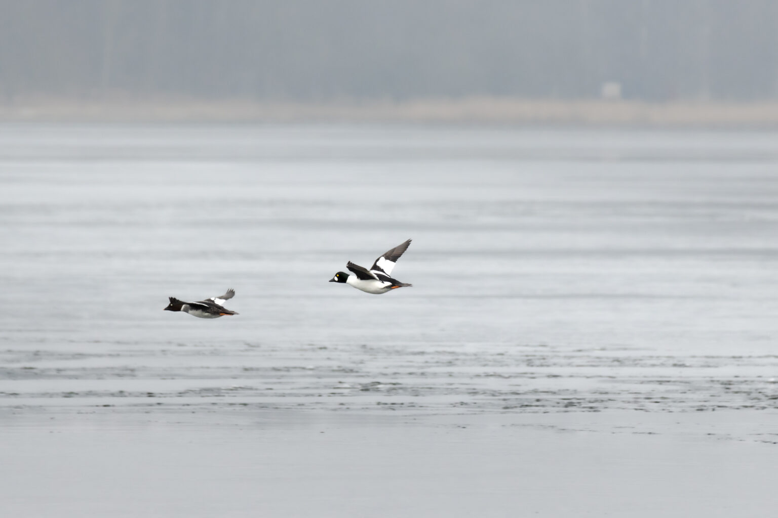 Hvinand – Roskilde Oplevelseshavn